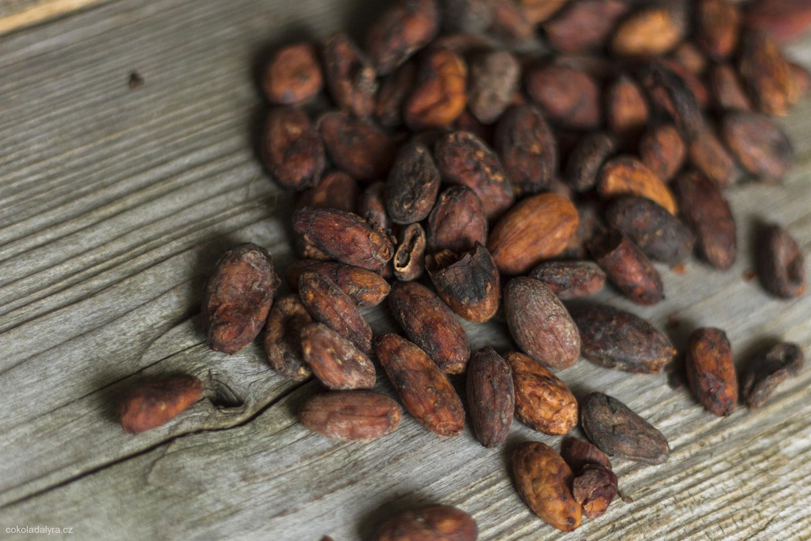 Kakao, máslo, hmota, boby 🍫 | 5 druhů na Čokoládovna LYRA